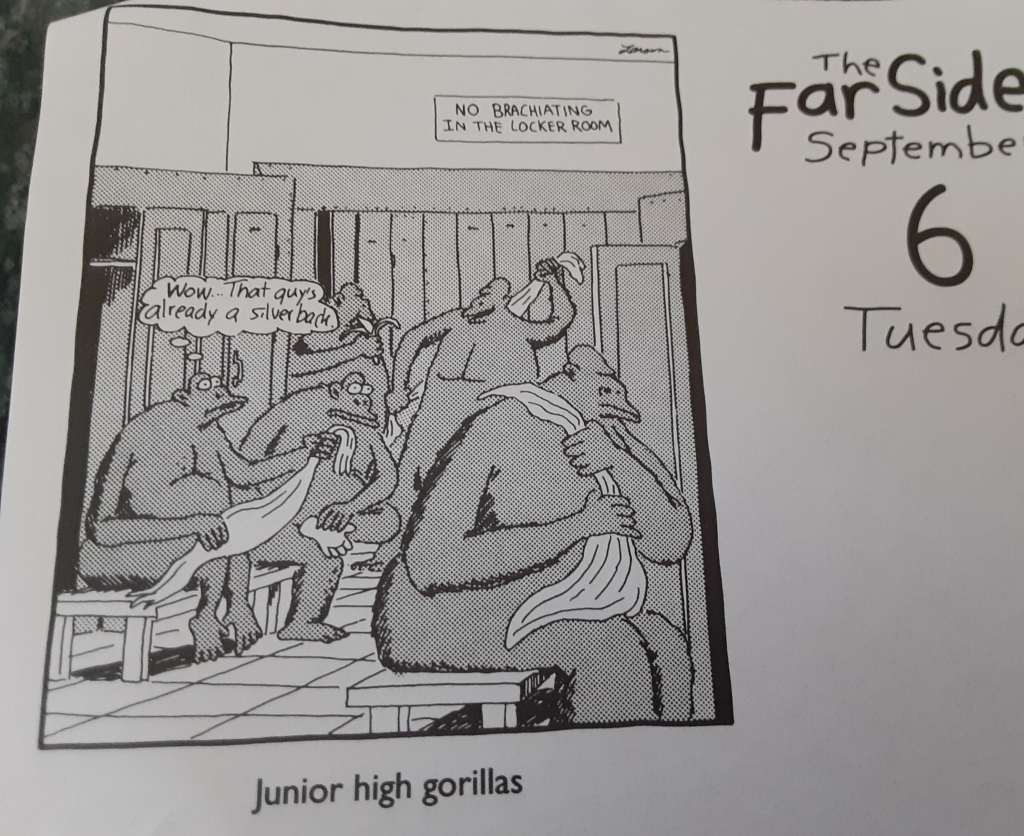 A Cautionary Tale – Silverback Digest